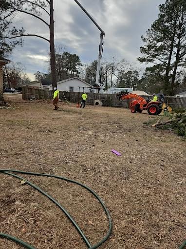 Hill Creek Tree Service